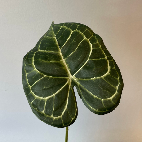 Small Syngonium Batik Leaf Single Stem Real Touch Flowers Silk Flowers ...