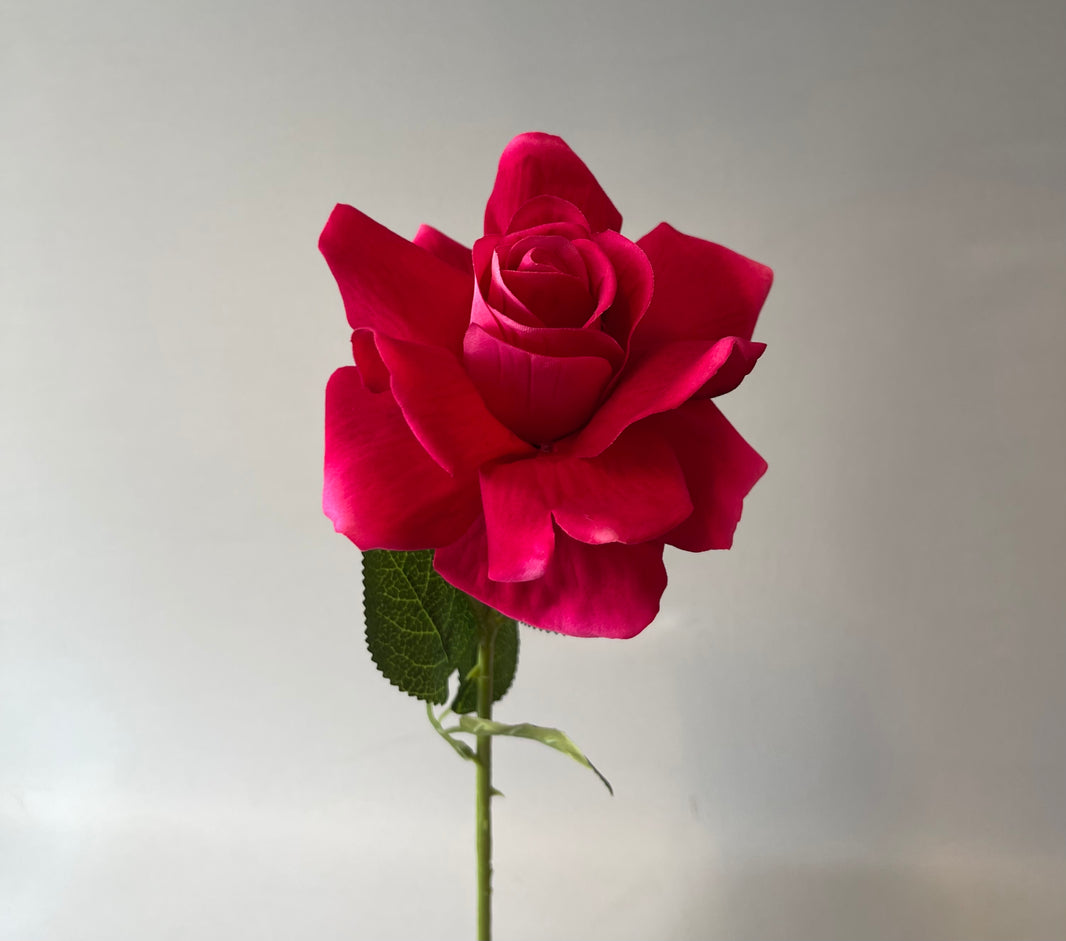 Single Stem Collection - Flower Delivery - Bouquet - Flowers ...