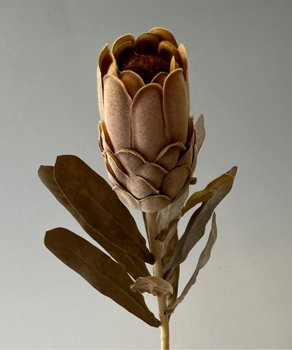 Brown Protea Single Stem Artificial Flowers Faux Flowers – Catherine ...