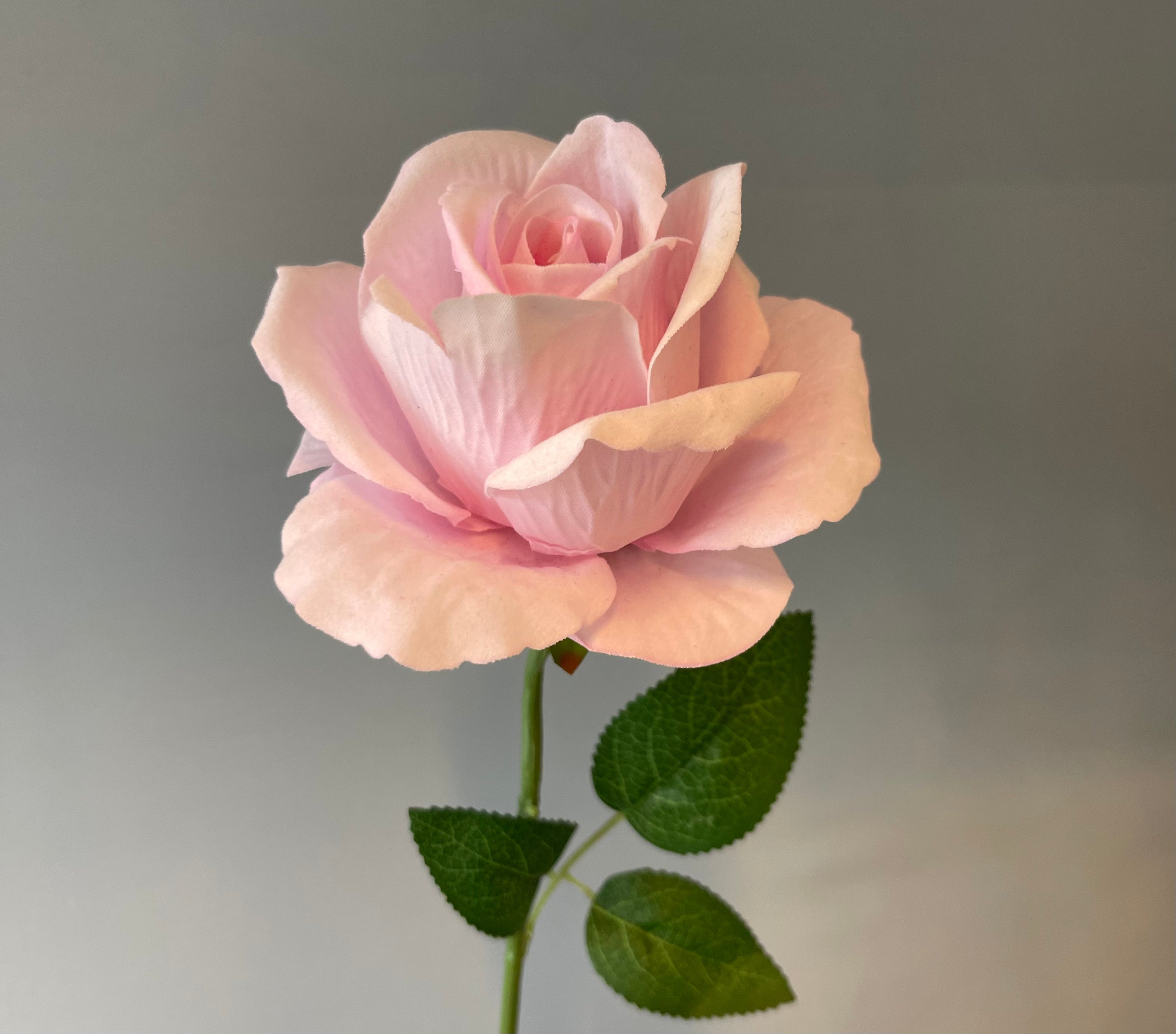 Light Pink Single Stem Velvet Rose Real Touch Flowers Silk Flowers ...