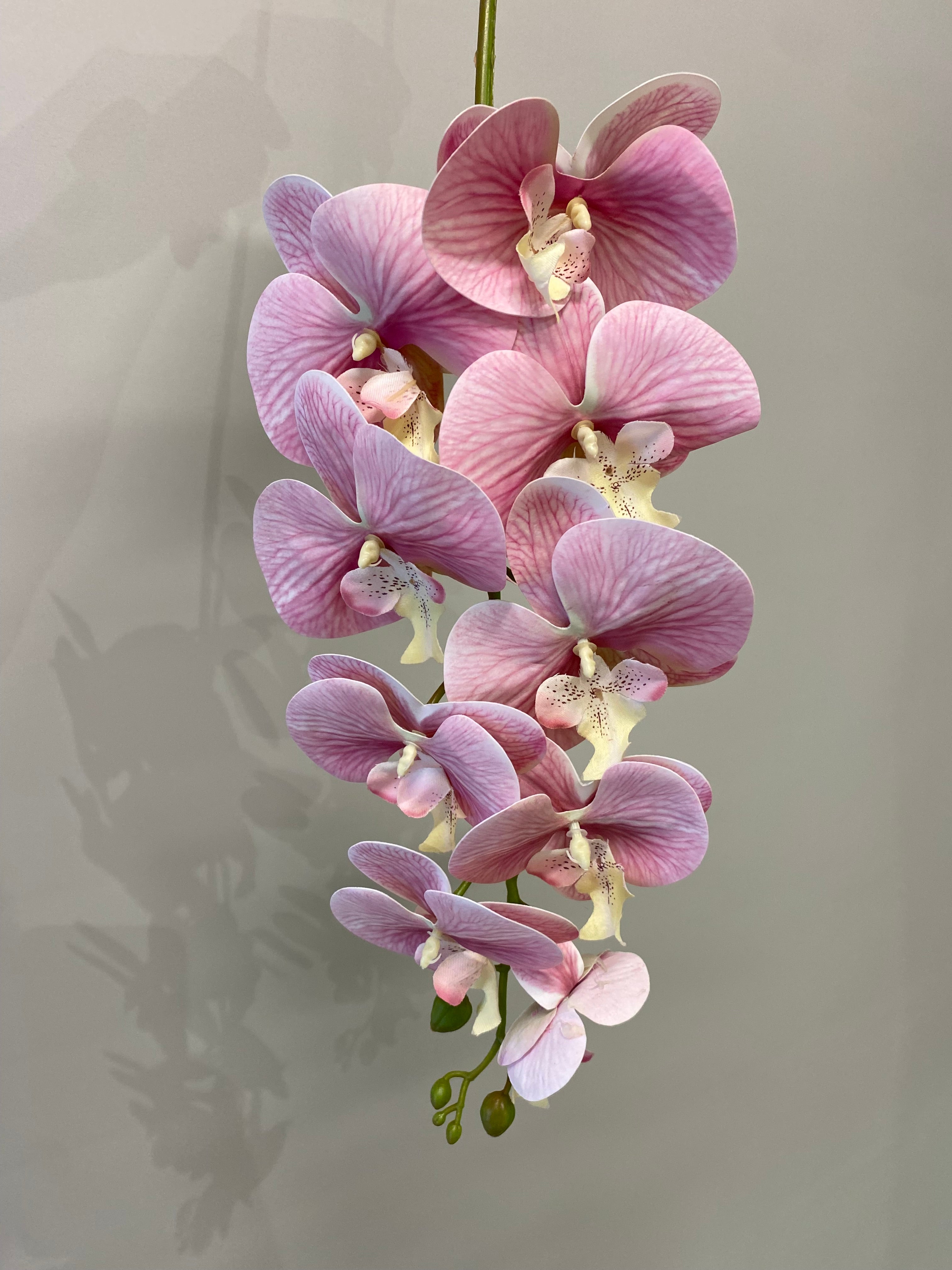 Water Melon Pink Orchid Single Stem Artificial Flower – Catherine ...