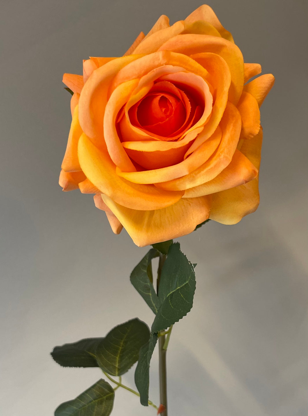 Catherine Phillips Flower Delivery Sydney | Artificial Flowers ...