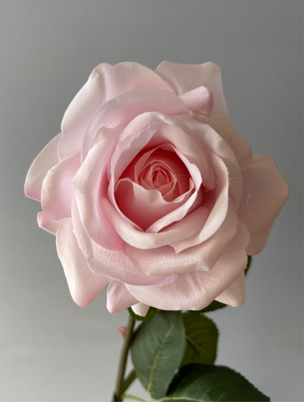 Real Touch Light Pink Hannah Rose Artificial Flowers Faux Flowers ...