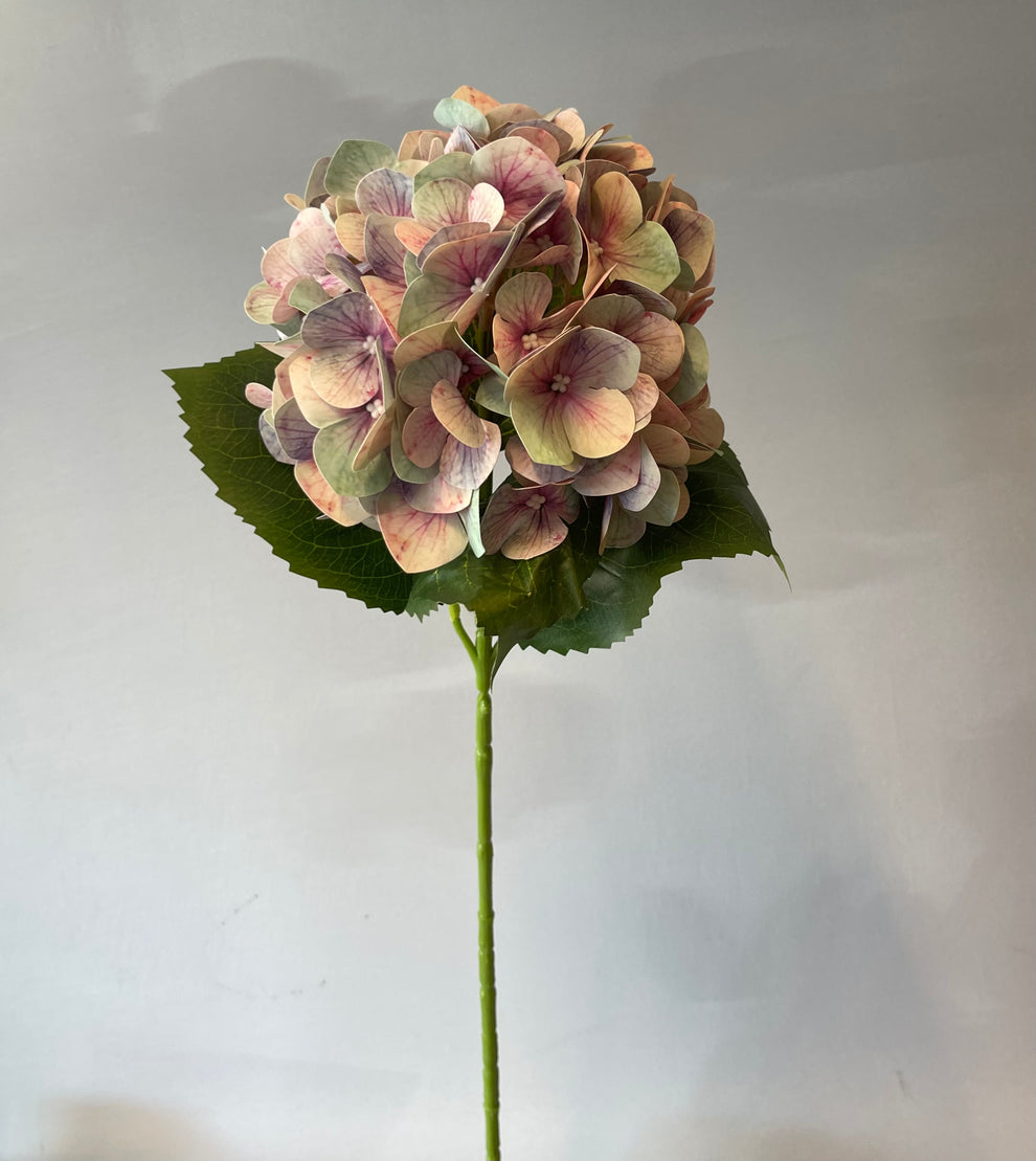 Blue and Purple Hydrangea Single Stem – Catherine Phillips Real Touch ...