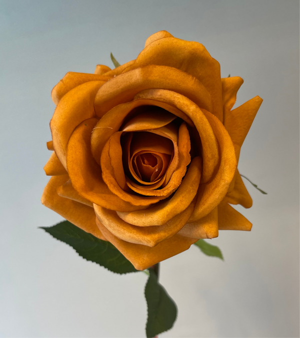 Real Touch Toffee Hannah Rose Single Stem Artificial Flowers ...