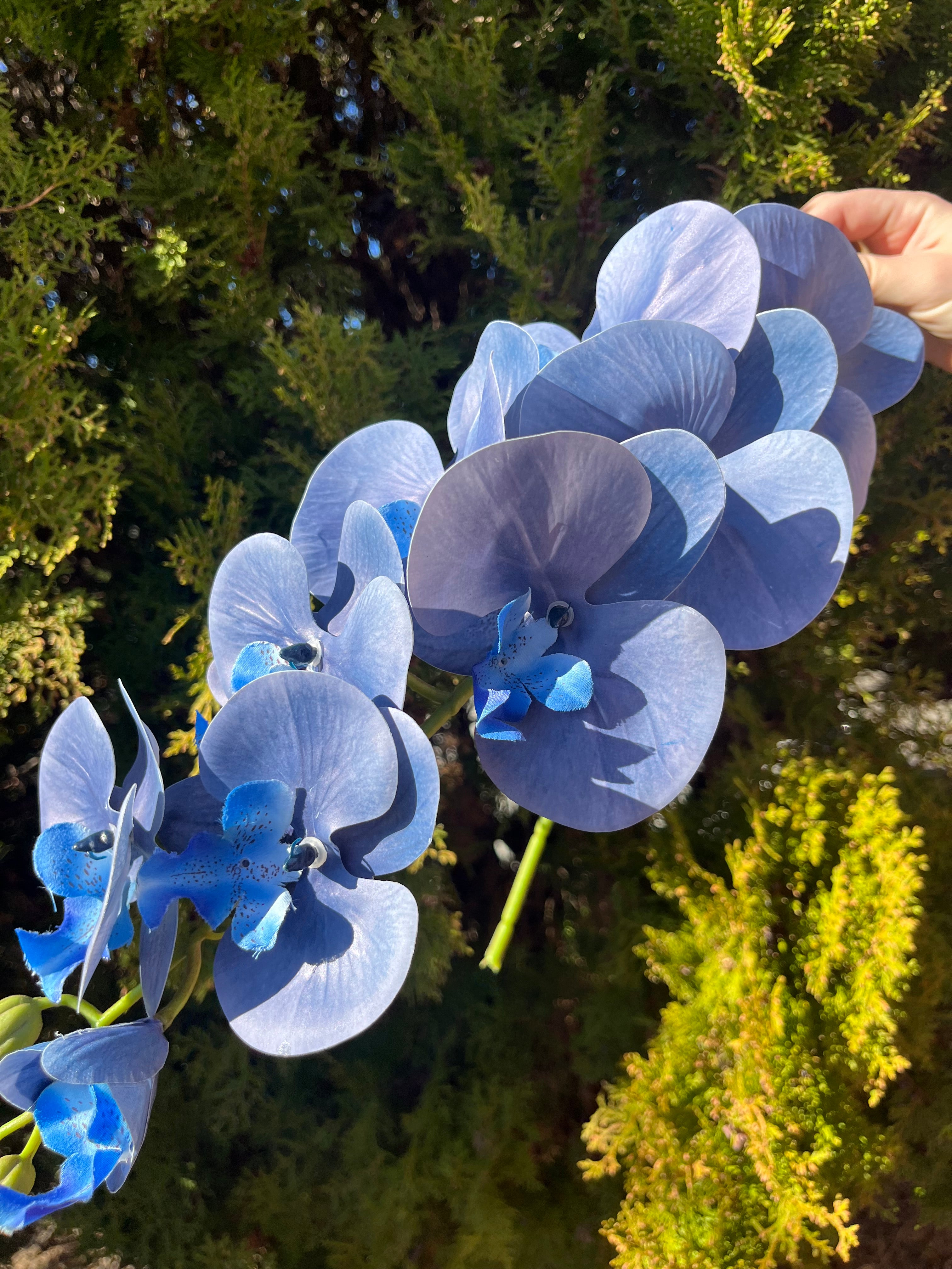 Deep Blue Orchid Single Stem – Catherine Phillips Real Touch Artificial ...